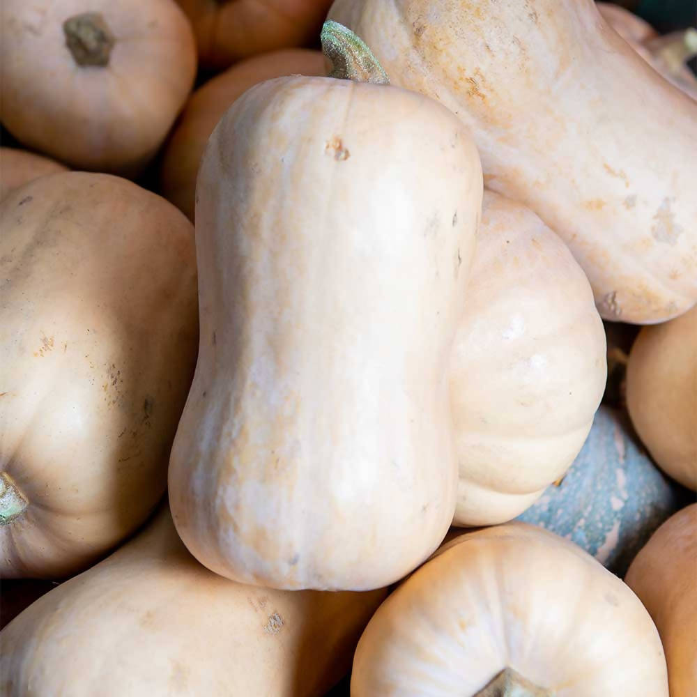 Butternut Pumpkin ($3.50per 1 kg)