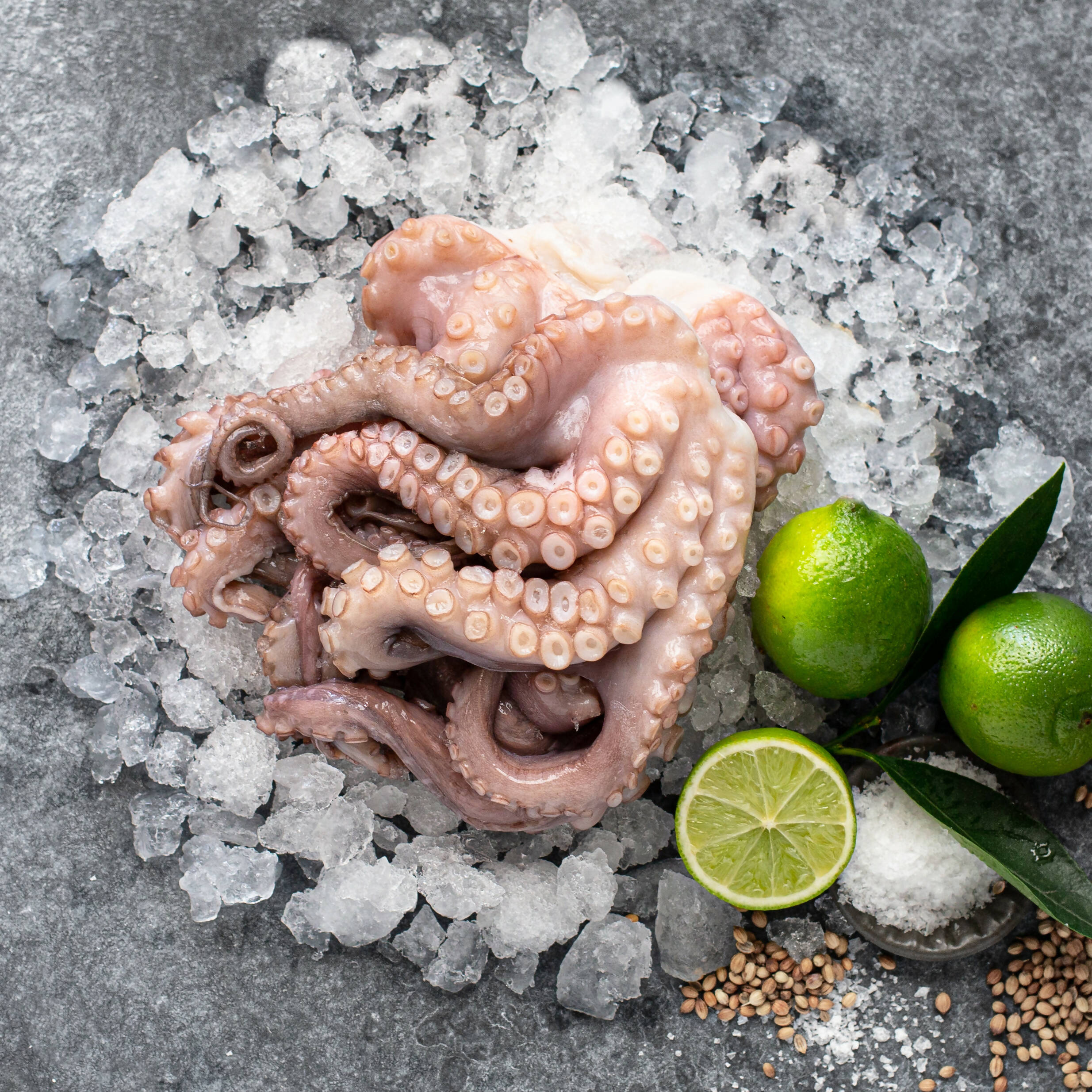 Western Australia Octopus Hands - (1kg)